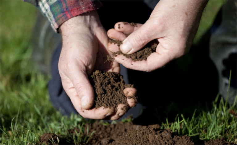 How to check soil quality? - Latex Membranes Specialist