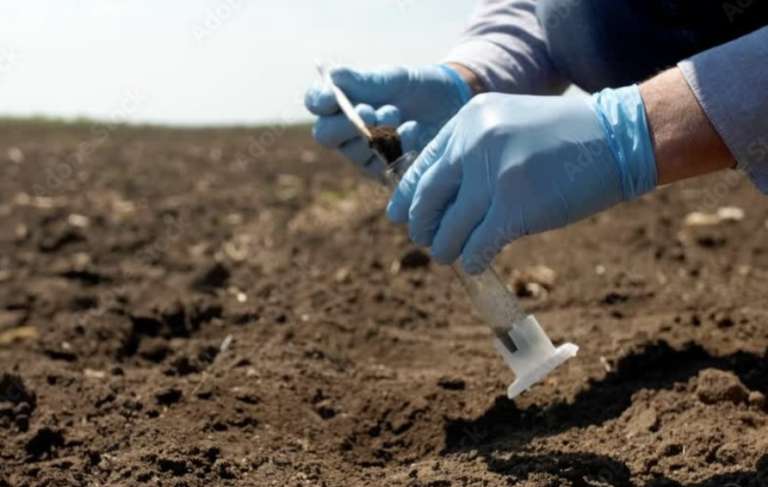 The Role of Soil Testing in Precision Agriculture: Turning Data into ...